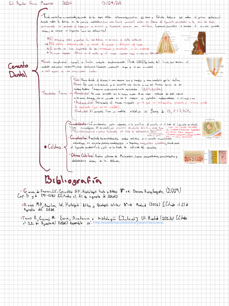 Tareas Perió Dos-2 | PDF