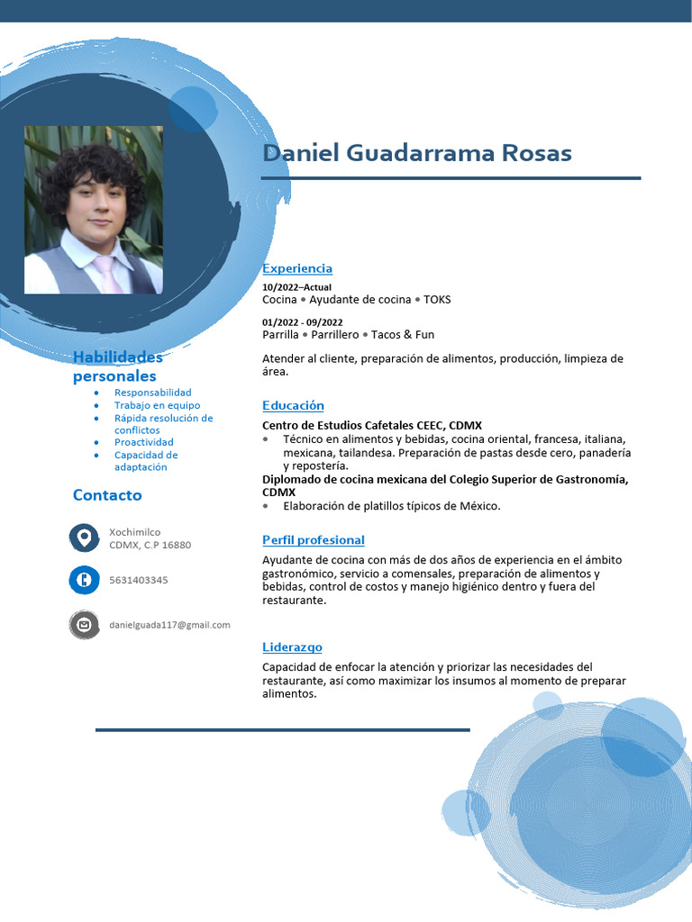 Curriculum Daniel | PDF