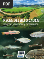 Relieve de Panama | PDF | Clima | Montañas