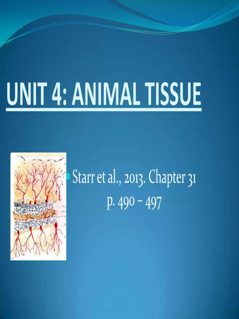 Animal Tissue | PDF
