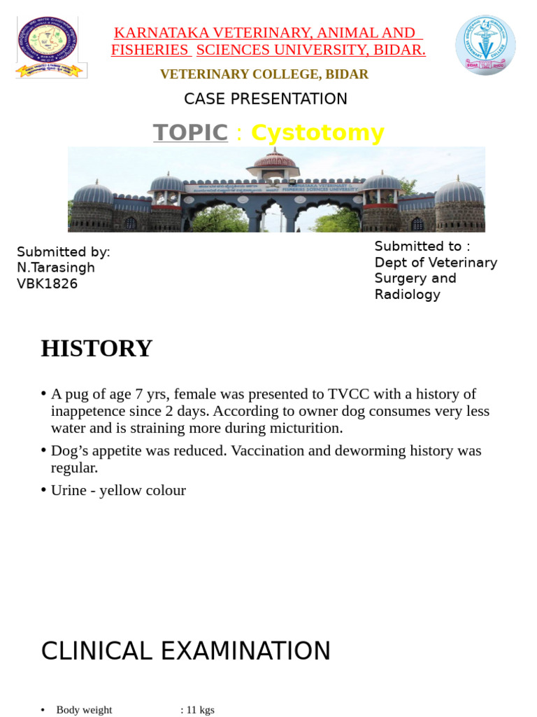 Cystotomy | PDF