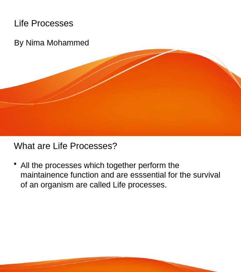 Life Processes | PDF