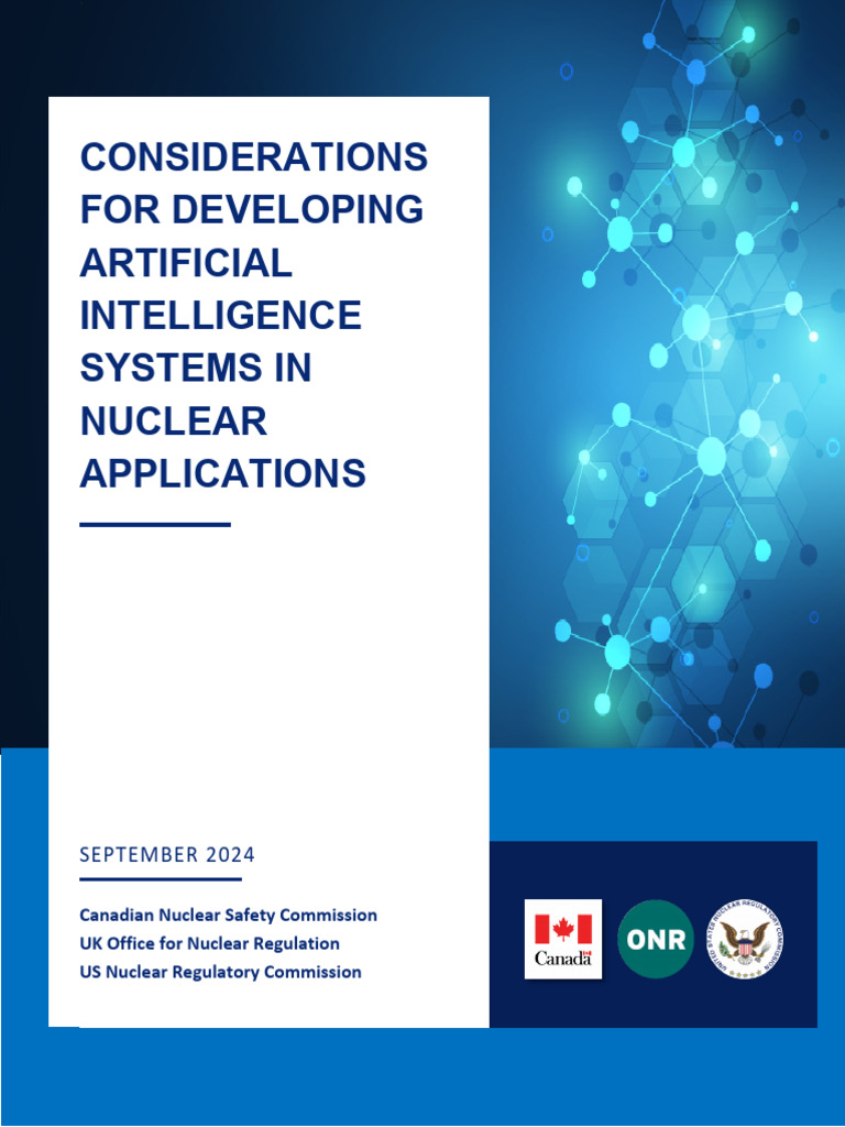 Consideration To Develop AI in Nuclear Energy | PDF