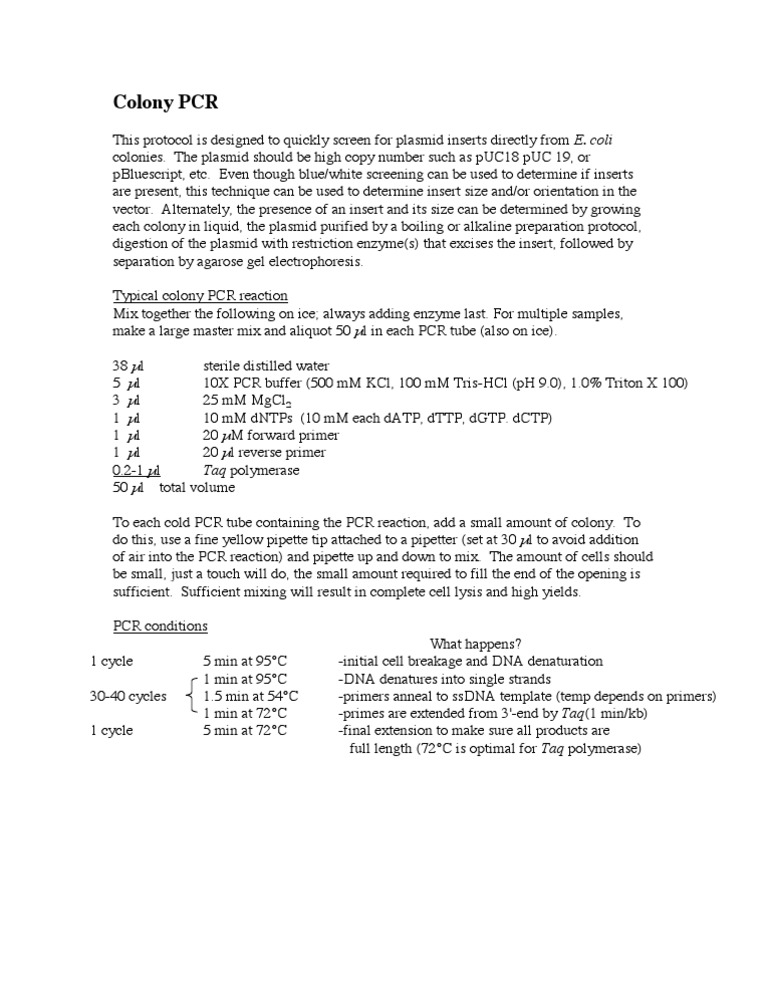 Colony PCR Protocol for E. coli | PDF | Cooking, Food & Wine ...