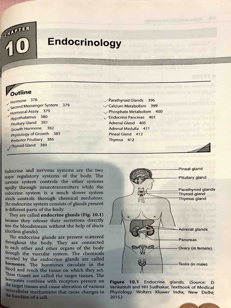 Endocrinology | PDF