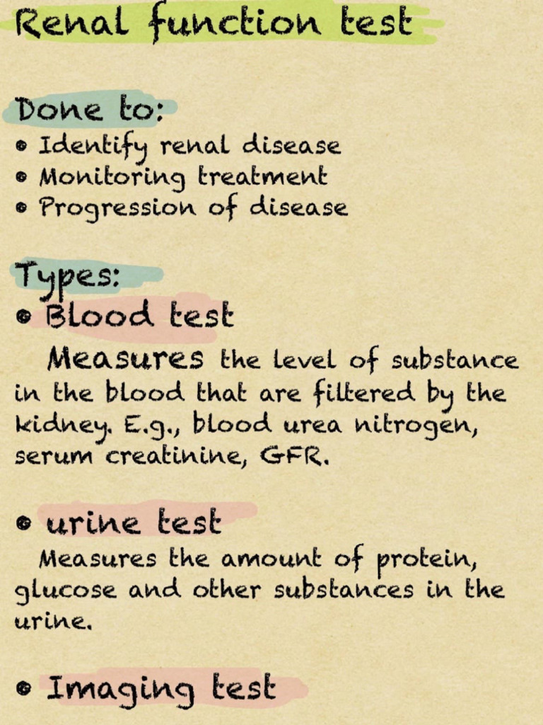 Renal Function Test 2 | PDF