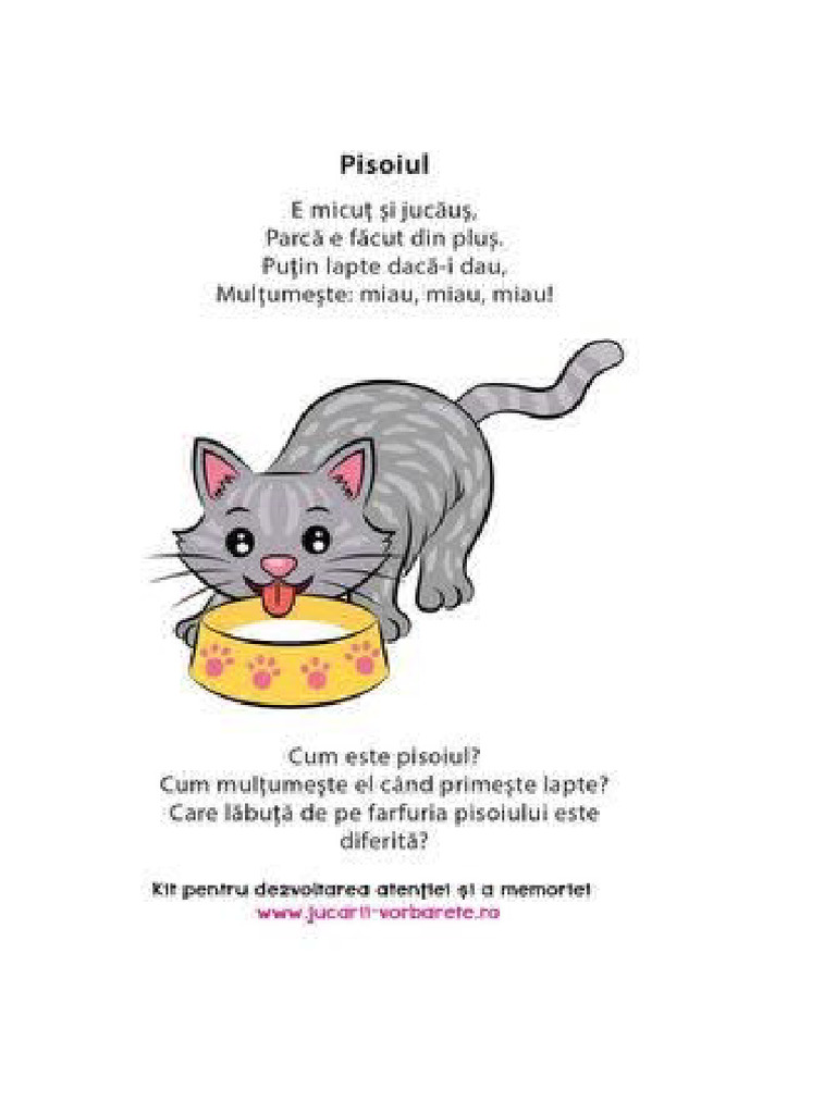 Pisica | PDF