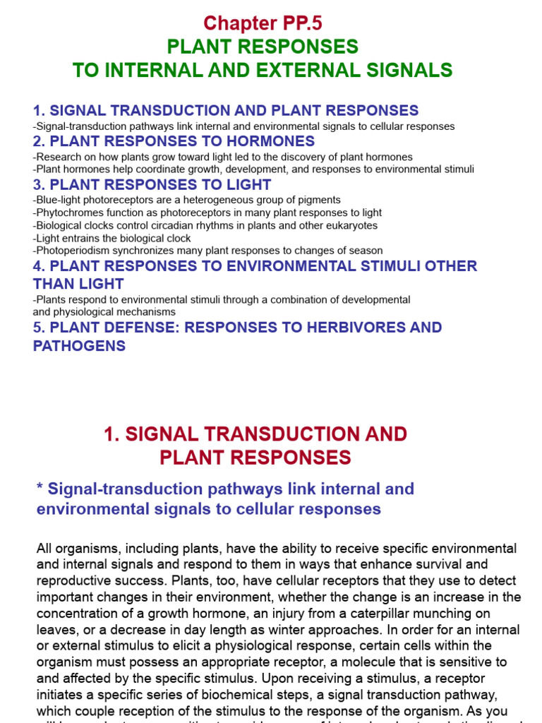 Chapter PP.5 (Signals) | PDF