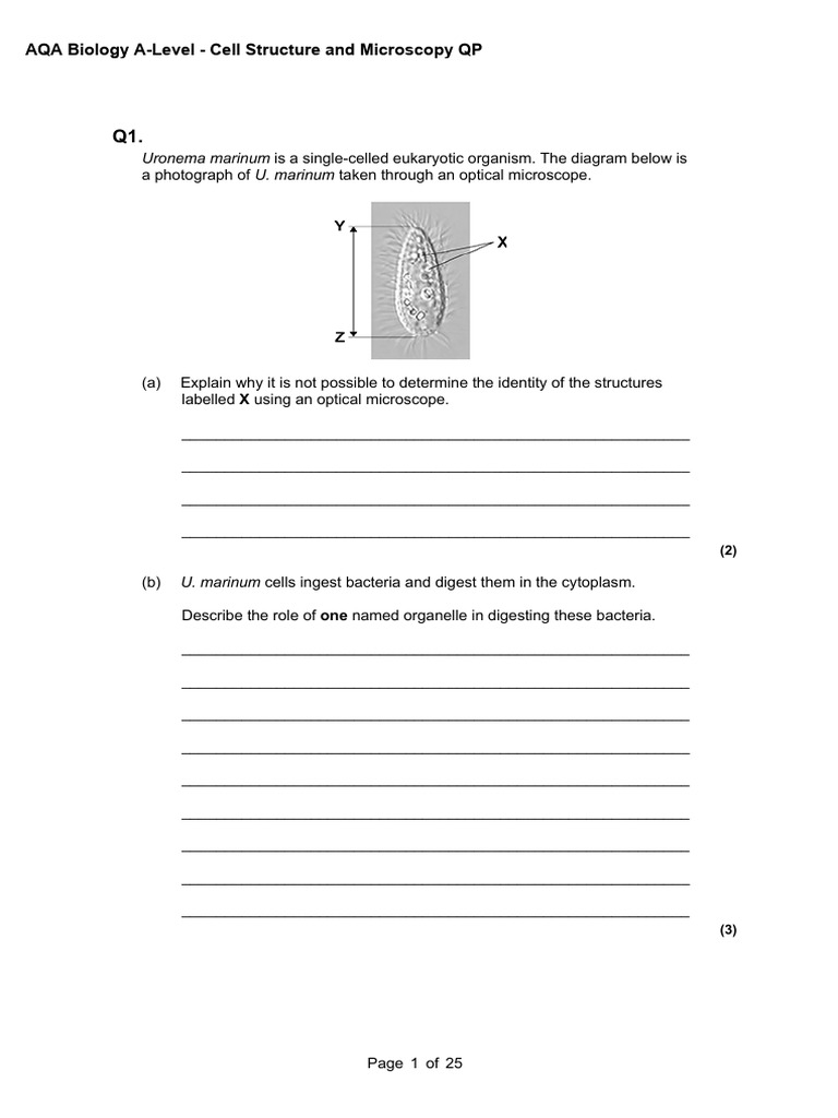 2.1 Cell Structure and Microscopy QP | PDF