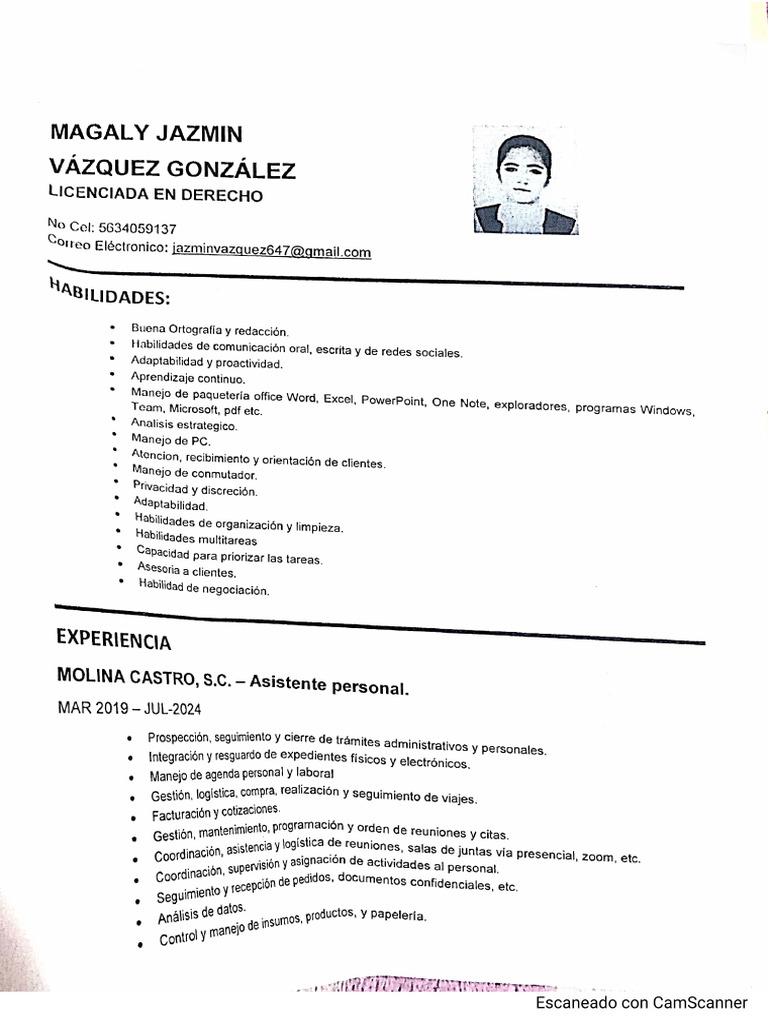 CV Asistente Personal MJVG 2024 | PDF