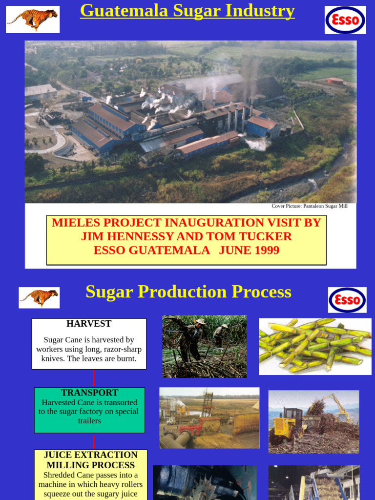 Sugar Mills Hennesy Presentation | PDF | Sugarcane | Brown Sugar