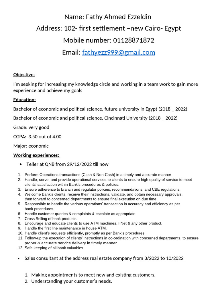 CV Ezz@@@ | PDF