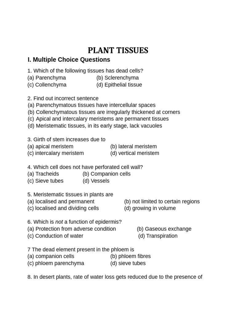 Plant Tissues Worksheet | PDF