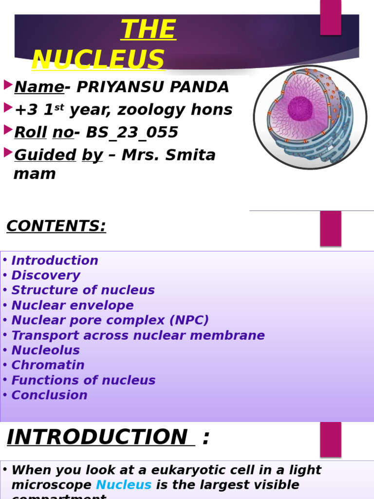Priyansu (Nucleus) | PDF