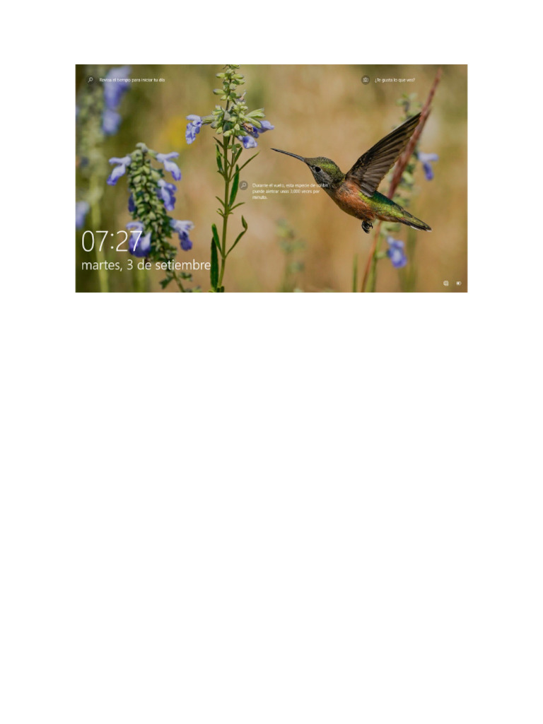 COLIBRI | PDF