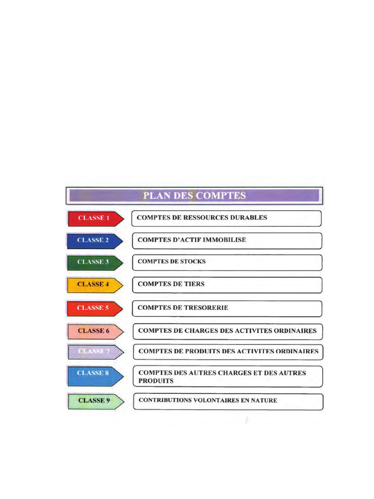 Liste Des Comptes Du Plan SYCEBNL | PDF