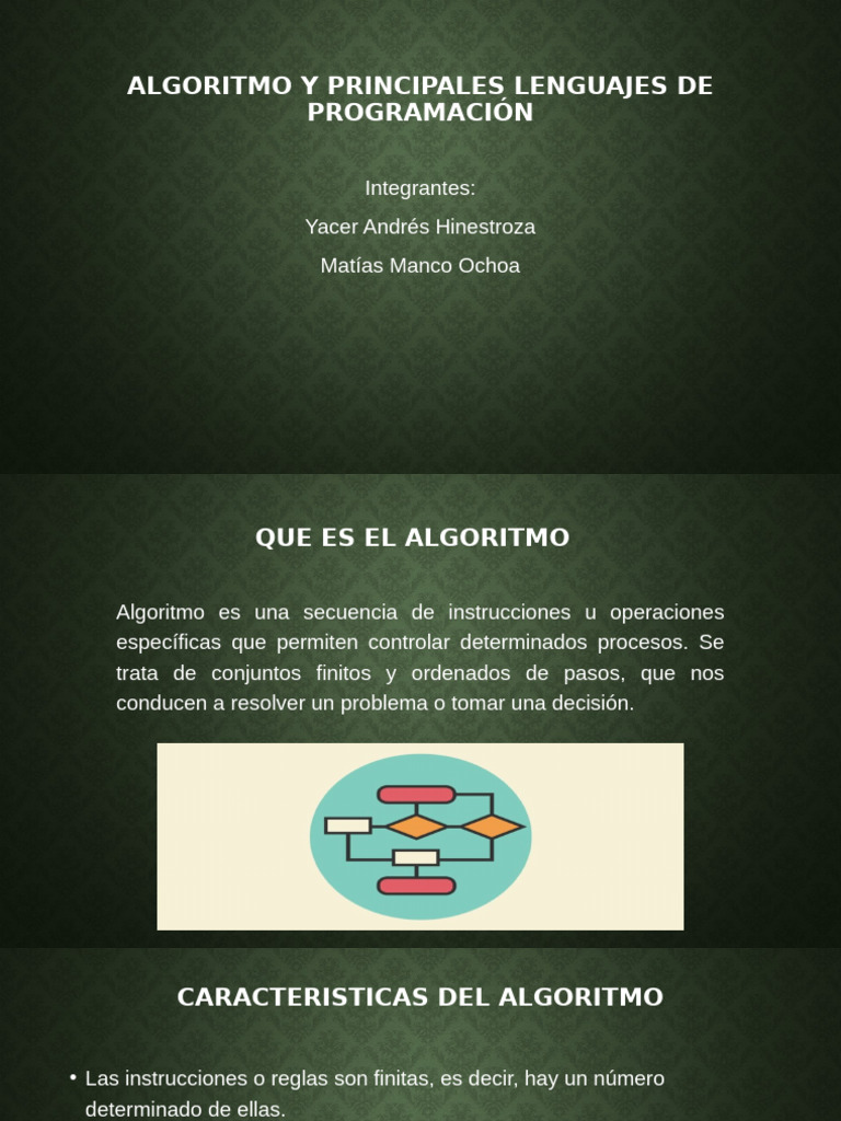 Algoritmo y Principales Lenguajes de Programacion 85 | PDF | Algoritmos | Lenguaje de programación