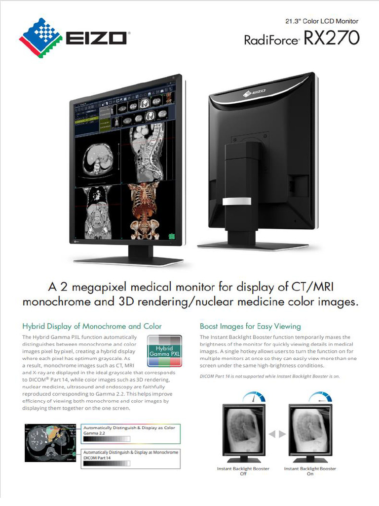 RX270 Eizo 2MP | PDF