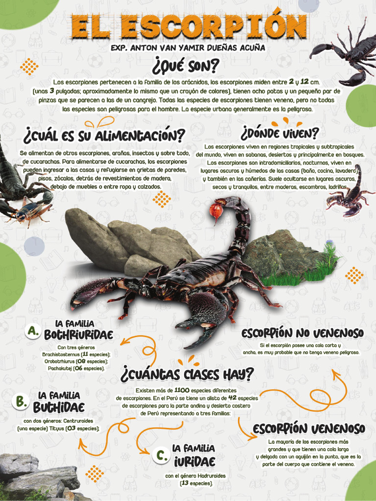ESCORPIOM | PDF
