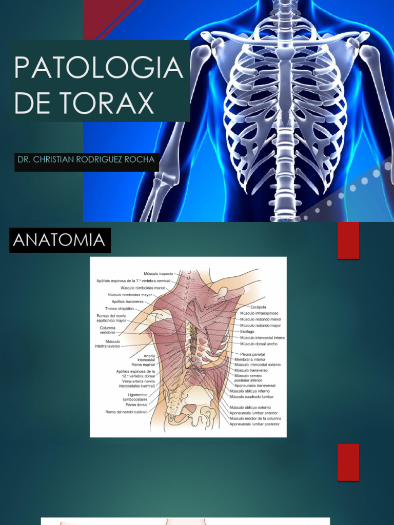 patología de torax | PDF