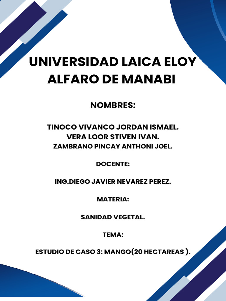 Documento A4 Portada Trabajo Final de Grado Profesional Elegante Azul | PDF