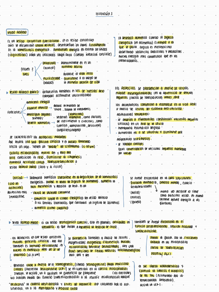 Histo 3 - 240424 - 003531 | PDF