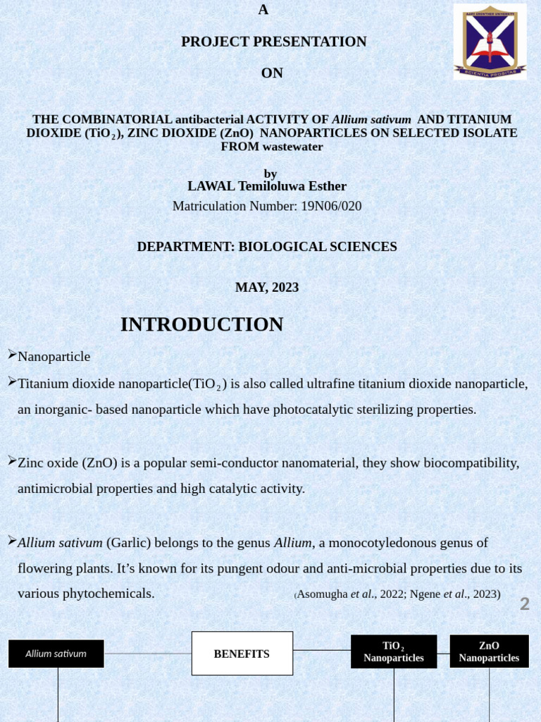 Temi Project Slides | PDF