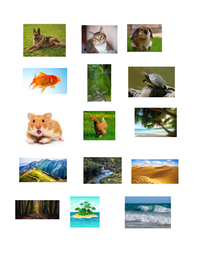 ANIMALES | PDF