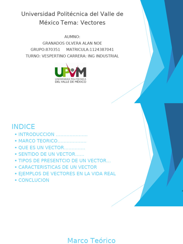 Que Es Un Vector | PDF