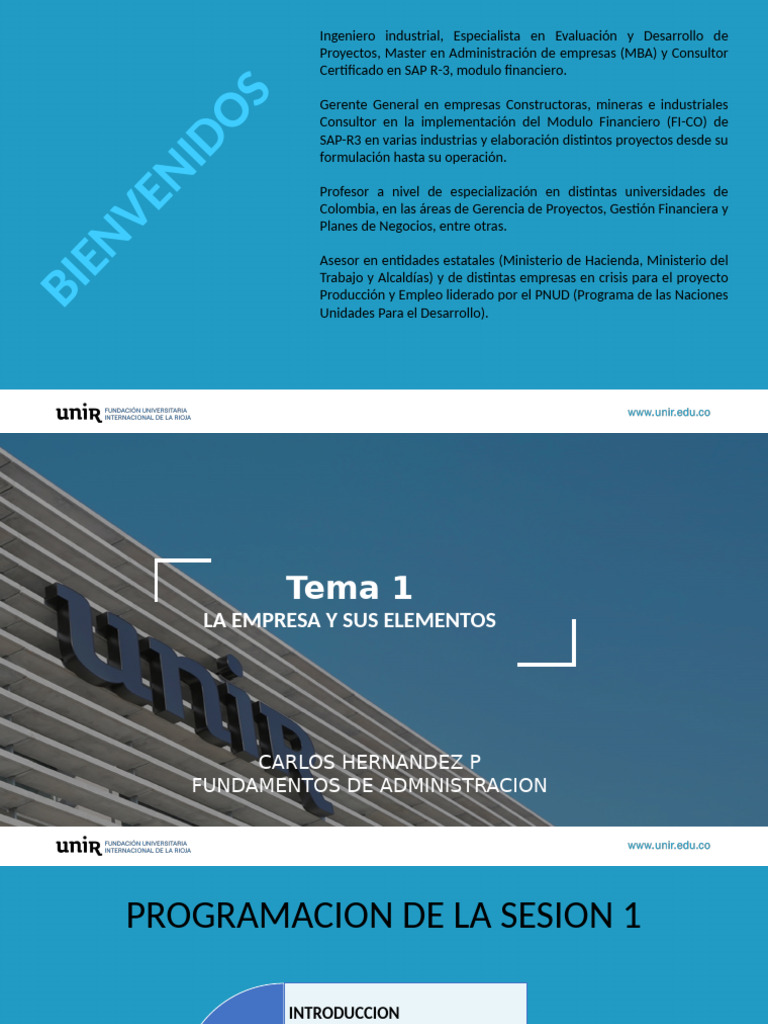 Tema - Empresa y Sus Elementos | PDF