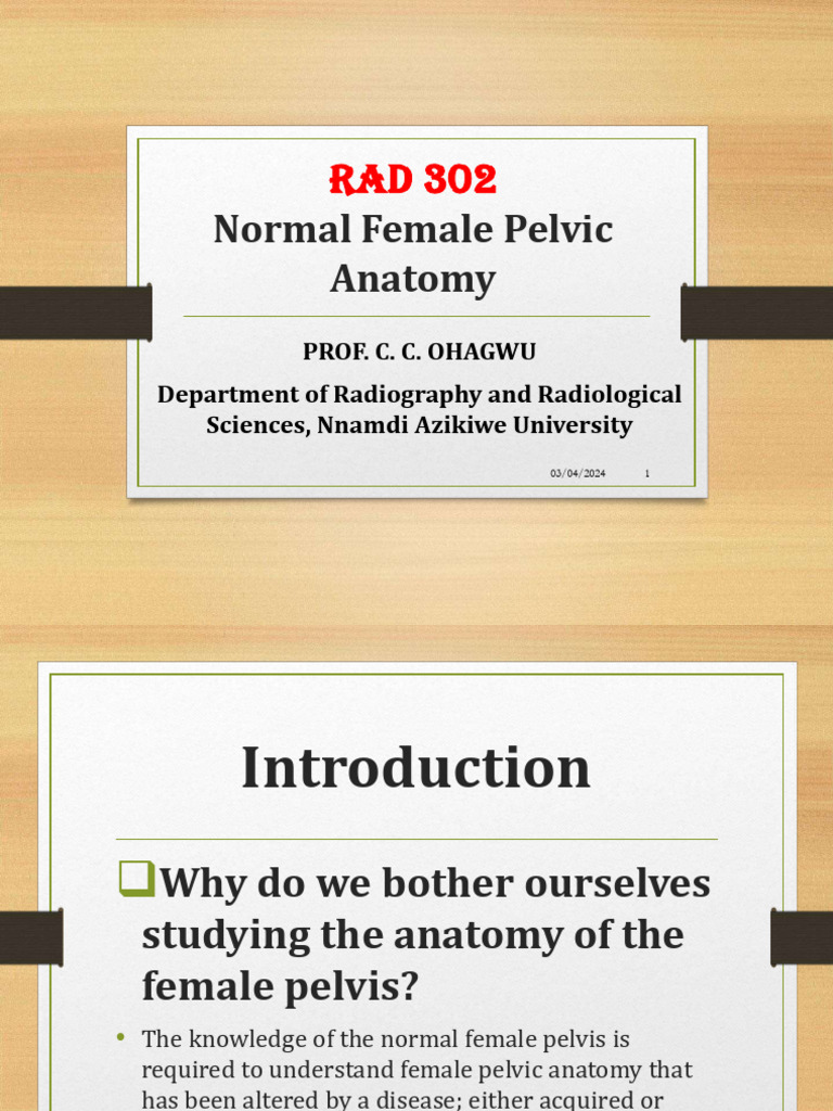 Understanding Female Pelvic Anatomy Pdf Uterus Social Science