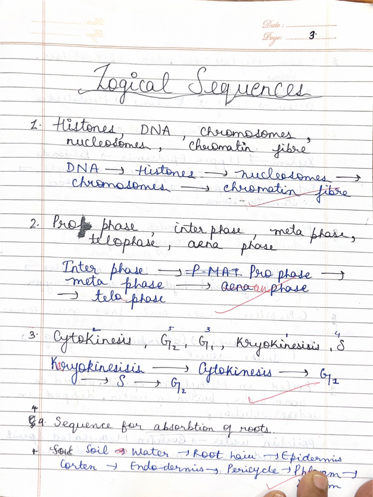 Logical Sequence Class x | PDF
