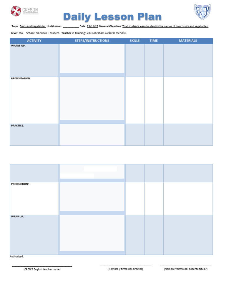 Daily Lesson Plan Format | PDF