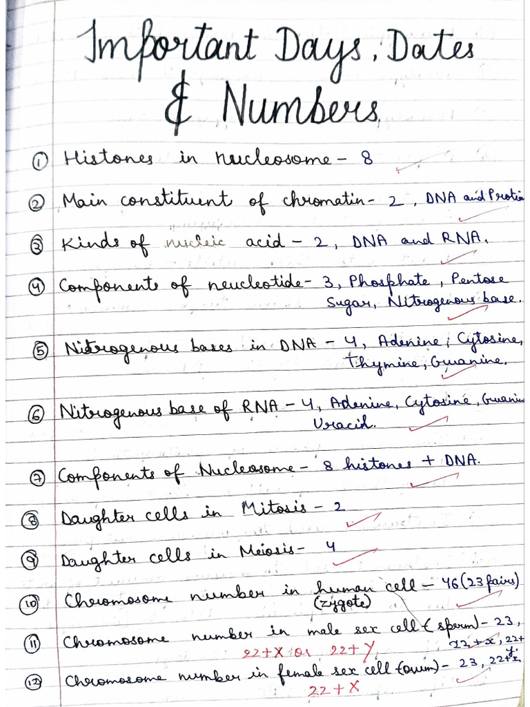 Imp. Days, Dates & Numbers | PDF