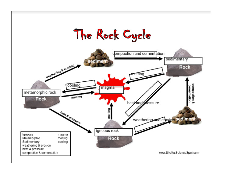 Kami Export - Euna Shin - Label The Rock Cycle | PDF