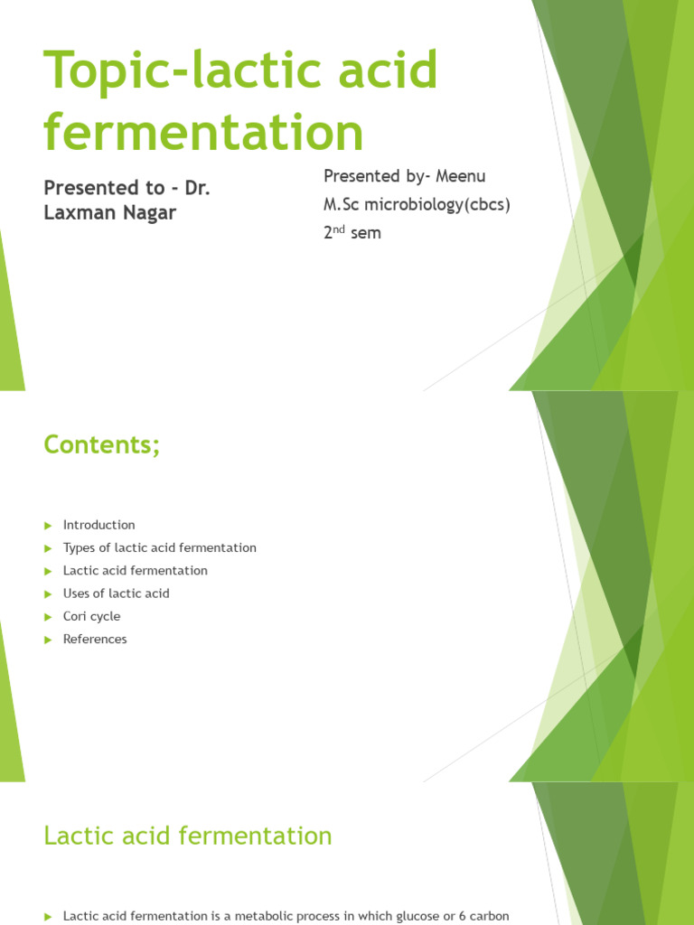 meenu lactic acid fermentation | PDF