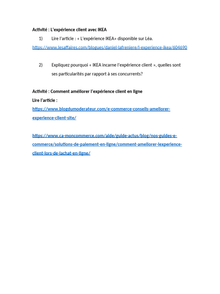 Activite Article Experience Client | PDF