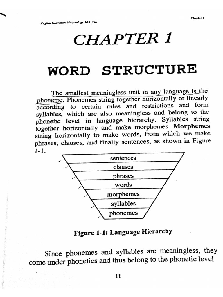 علم الصّرف | PDF