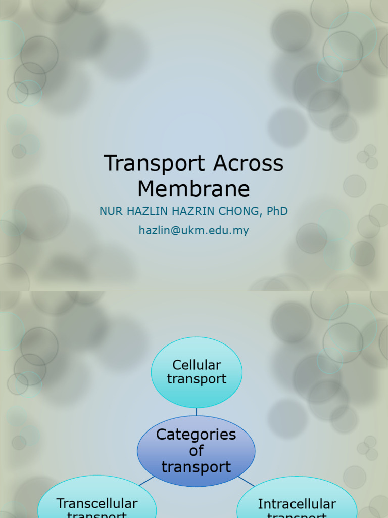 2 - Transport Across Membrane - Lecture - 240301 - 085427 | PDF | Cell ...