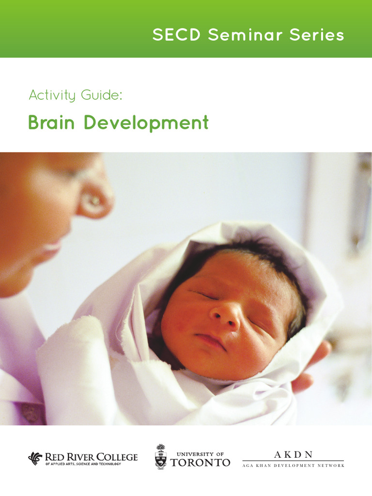 Brain Development Activity Guide | PDF