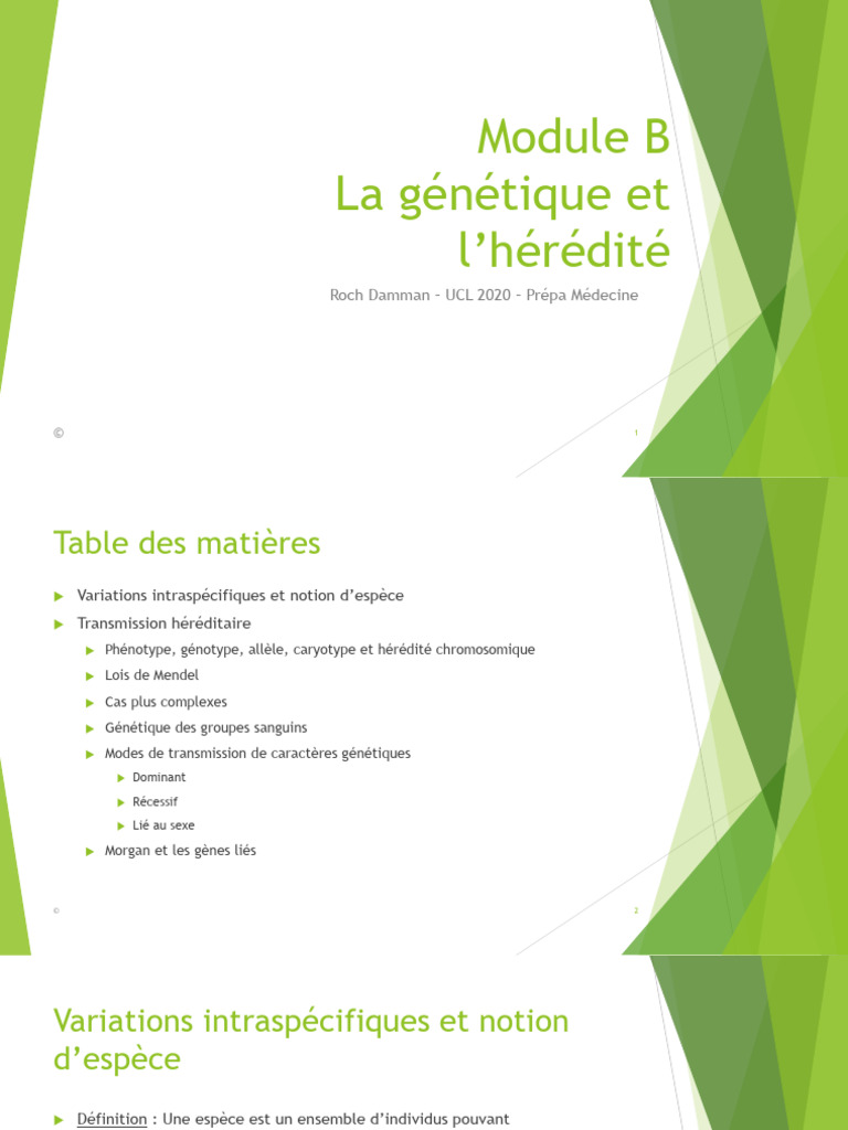 Bio - Module B - 1 La Génétique | PDF