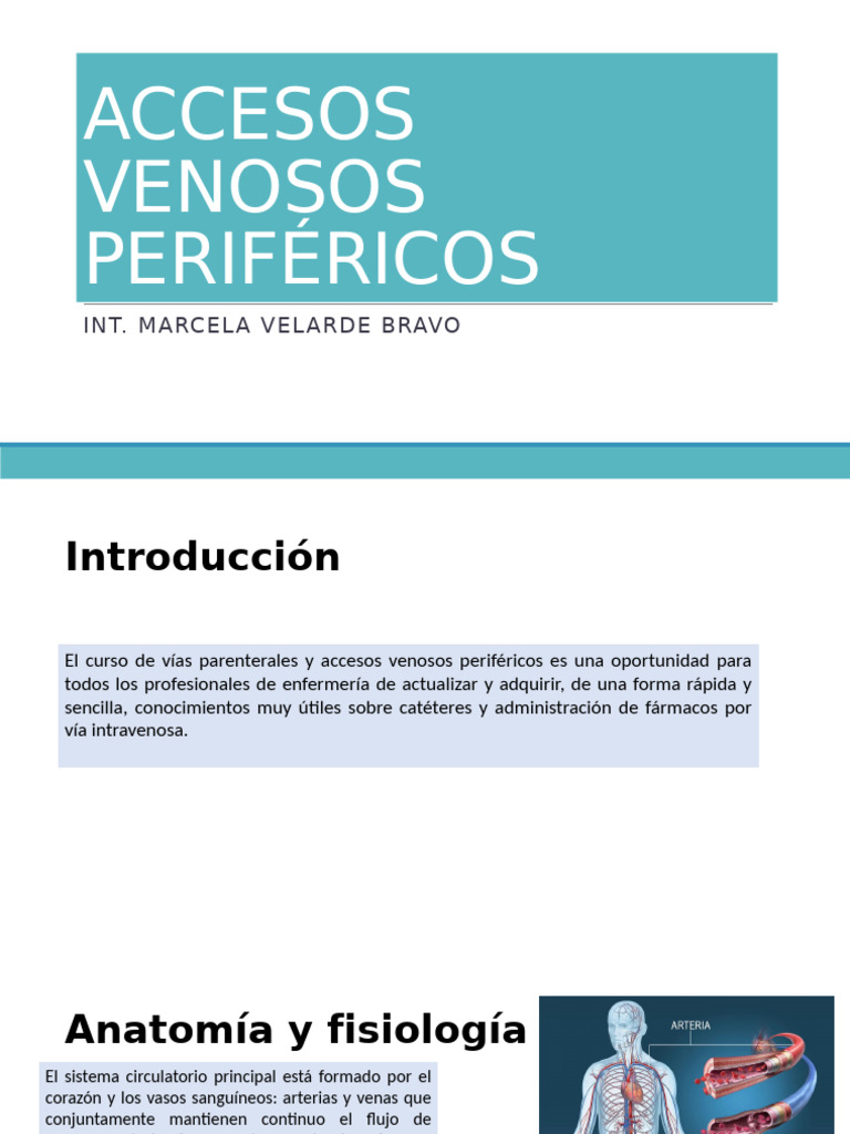 Accesos Venosos Perifericos | PDF