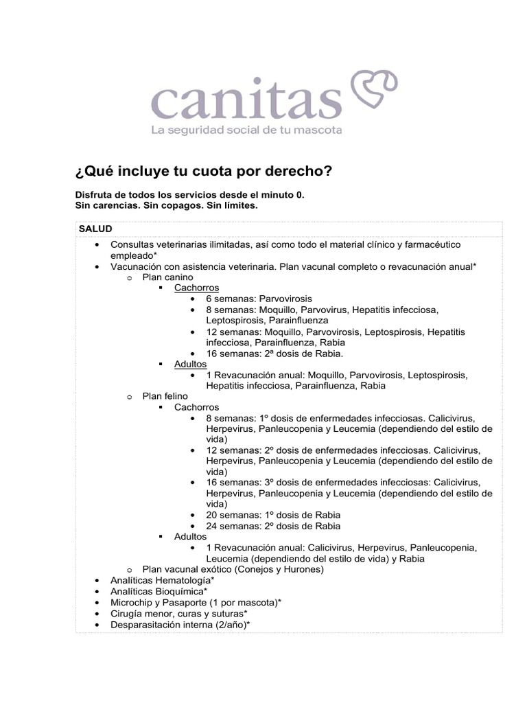 Contrato Canitas | PDF
