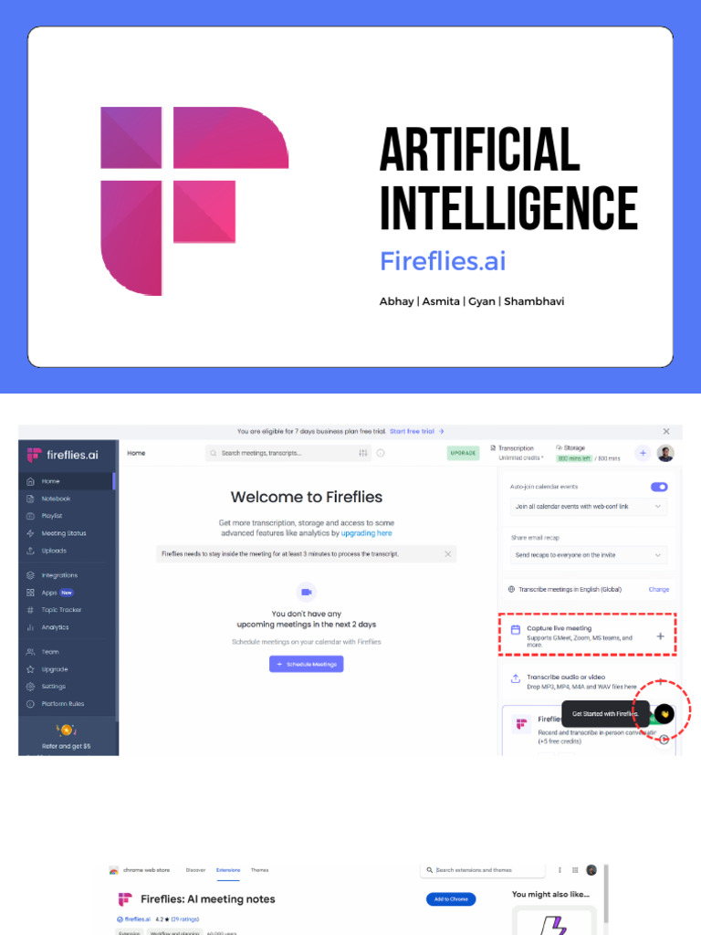 Fireflies | PDF | Business | Computers