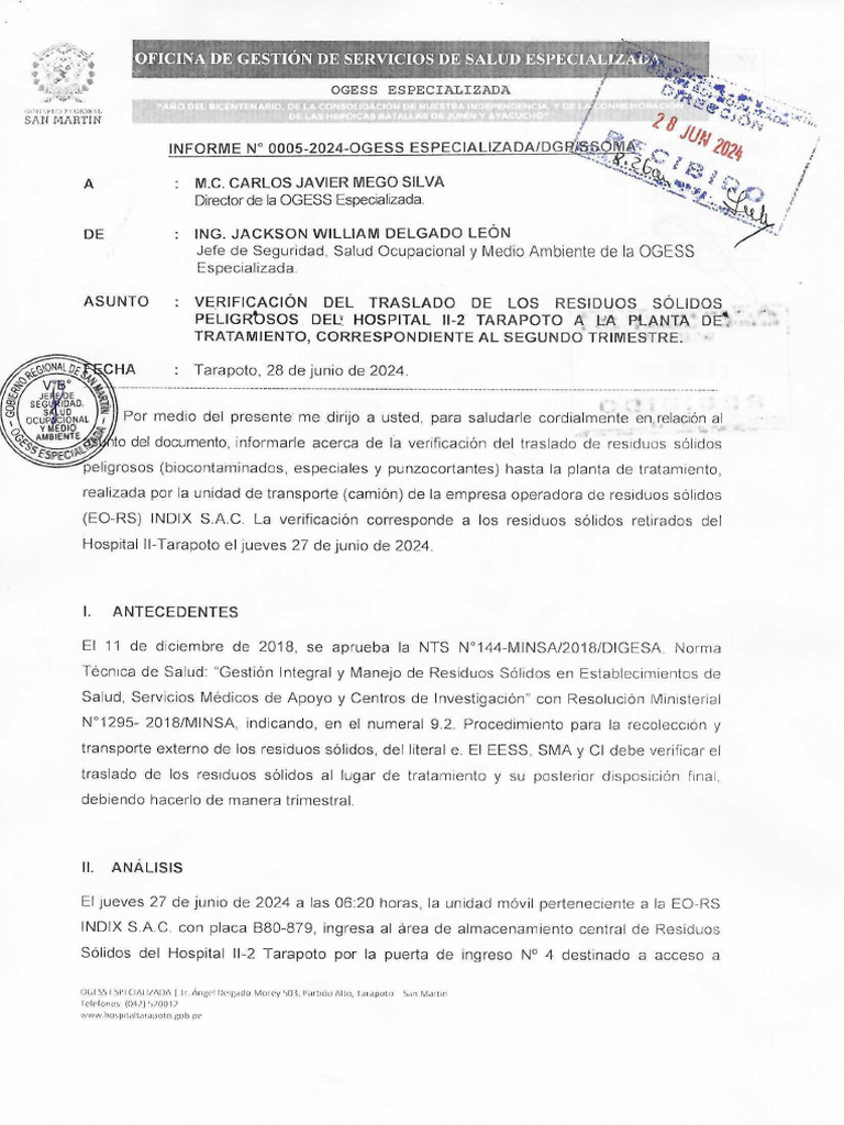 Informe N 0005-2024-Ogess Especializada-Dgp-Ssoma | PDF