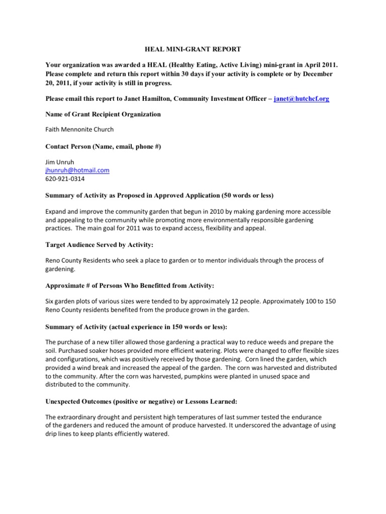 Mini-Grant Reporting Form | PDF