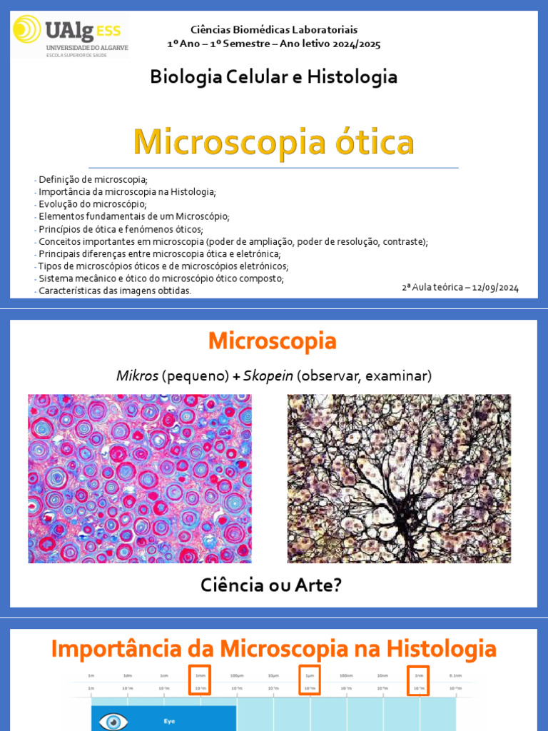 02 - Micros | PDF