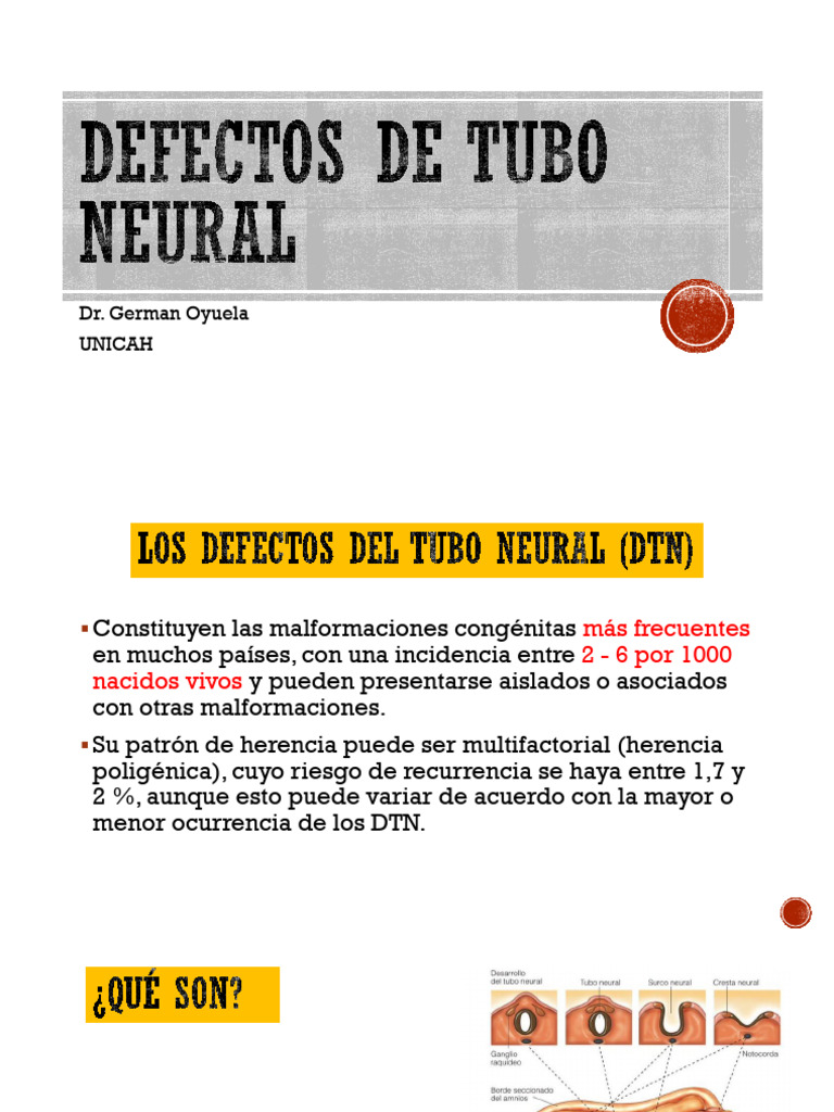 Defectos de Tubo Neural: Tipos y Causas | PDF | Sistema nervioso ...