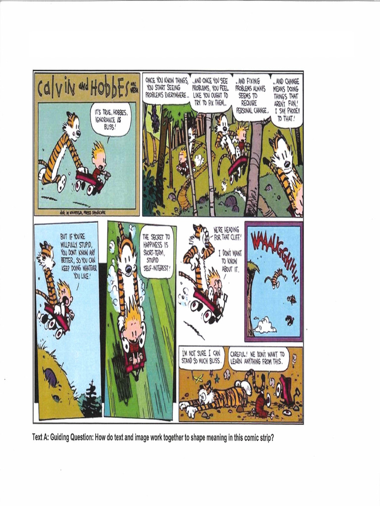 Calvin Hobbs cartoon | PDF