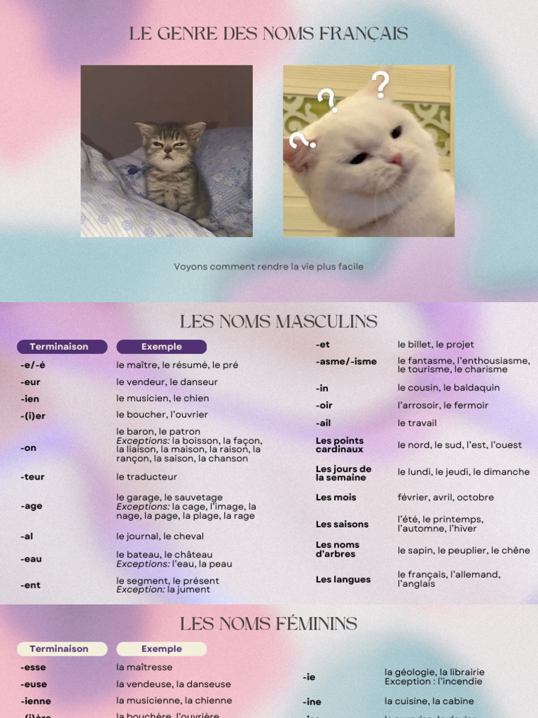 Le Genre Des Noms Français | PDF